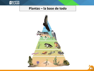 Base teorica Necesidades de las plantas.pptx