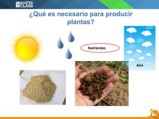 Base teorica Necesidades de las plantas.pptx