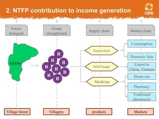 Potential of community-based NTFP management as coping mechanisms (food ...