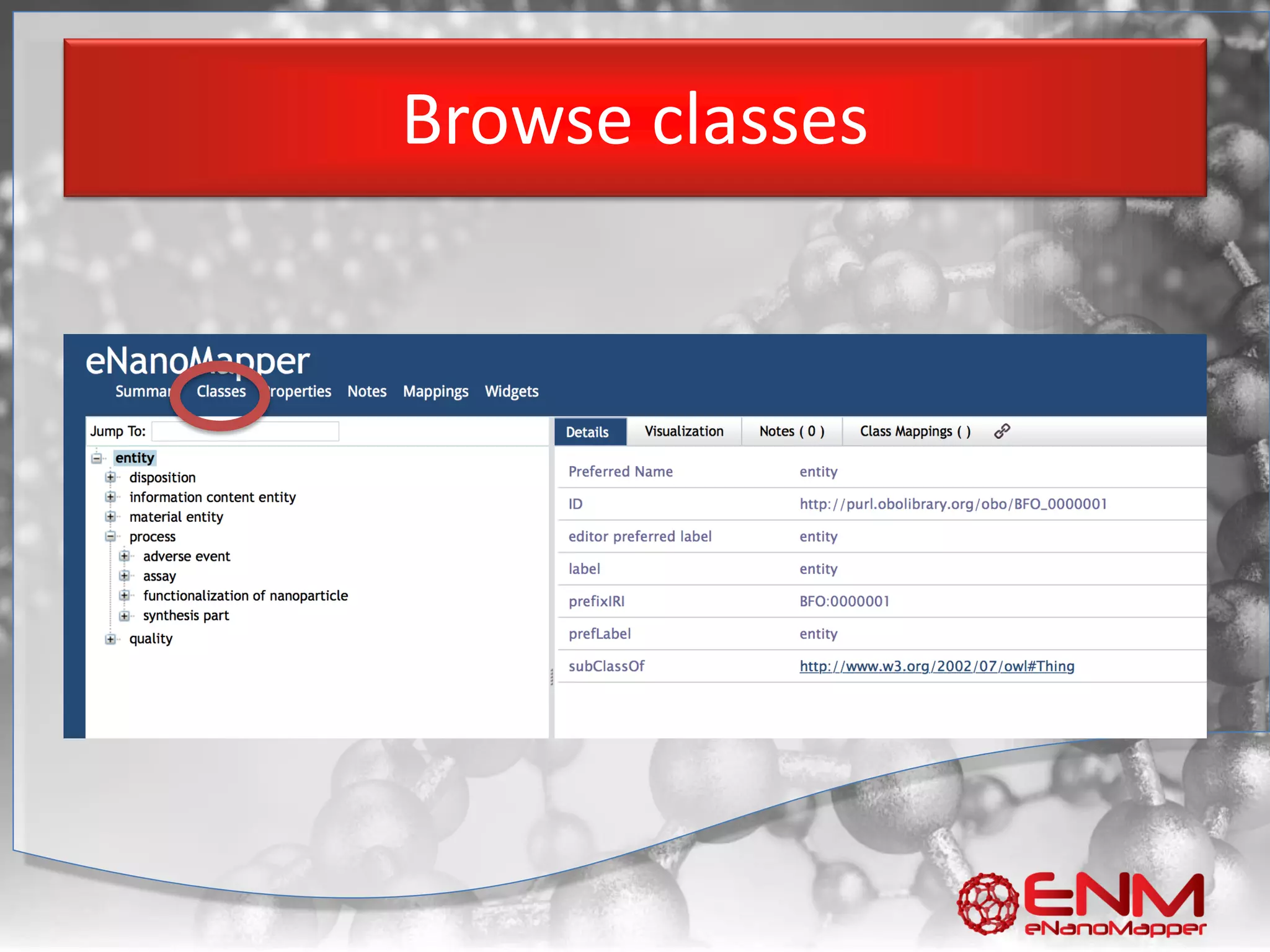 eNanoMapper - A Database and Ontology Framework for Nanomaterials ...