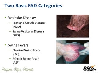 Dr. Lisa Becton - Foreign Animal Disease Preparedness | PPT