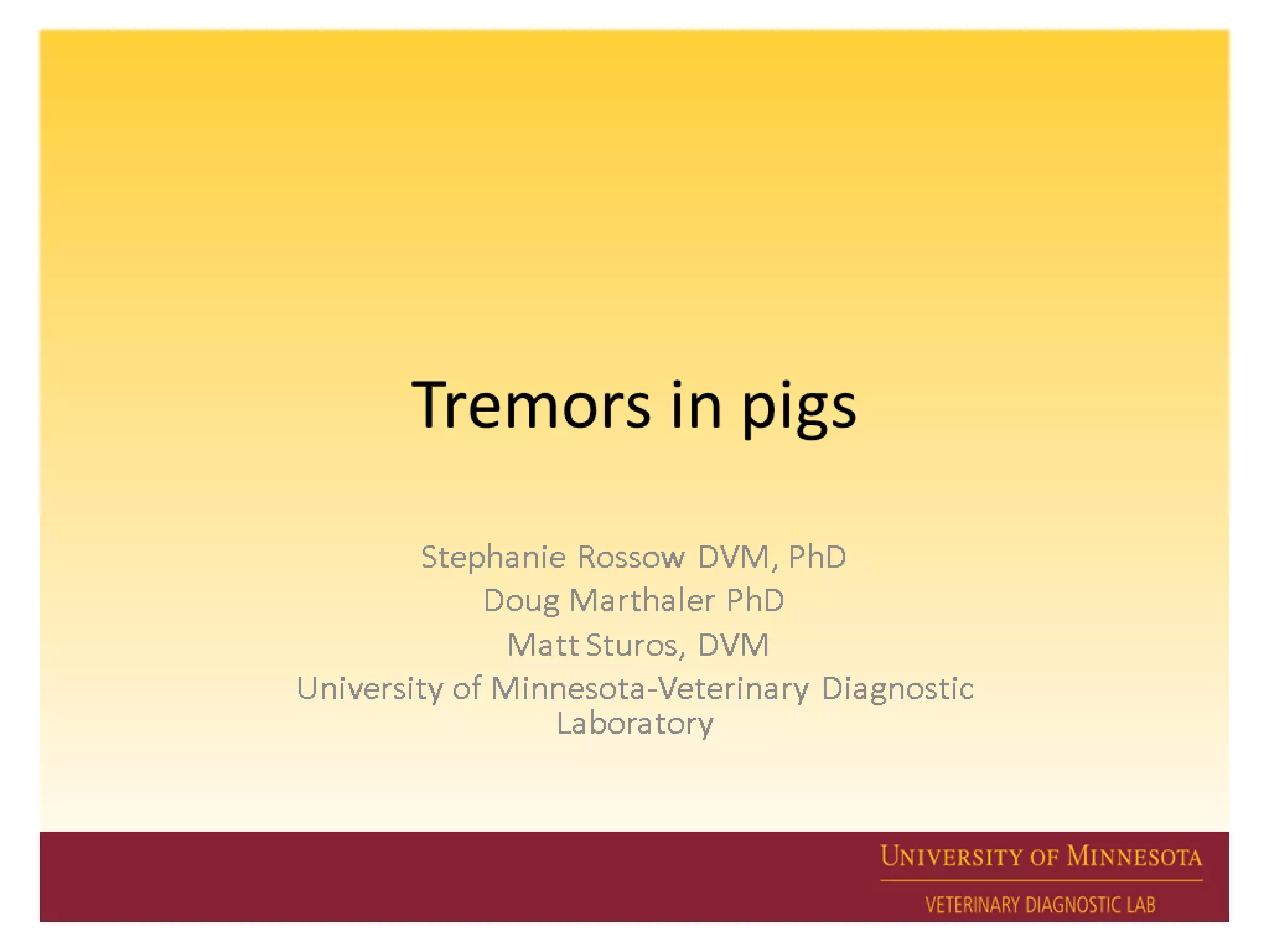 Dr. Stephanie Rossow - Diagnostic Work-Up & Differential Diagnoses ...