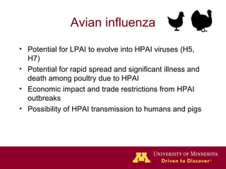 Dr. Carmen Alonso - Airborne Transmission Of Highly Pathogenic Avian ...