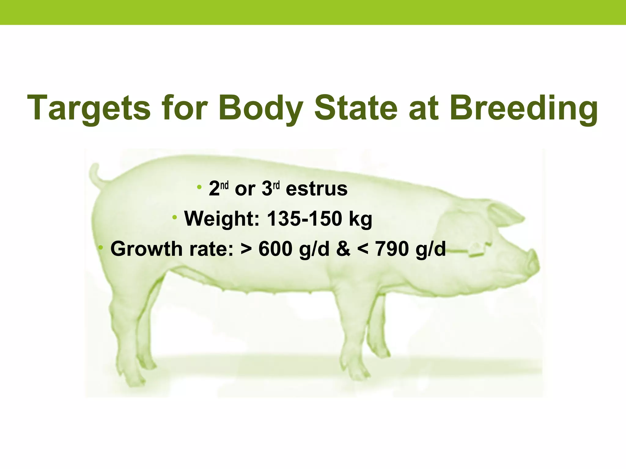 Dr George Foxcroft Risk Factors For Sow Culling Ppt