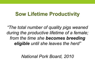Dr George Foxcroft Risk Factors For Sow Culling Ppt