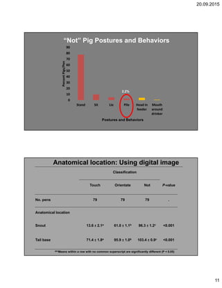 Dr. Tom Fangman - Comparison Of Nursery Pig Behavior Assessed Using ...