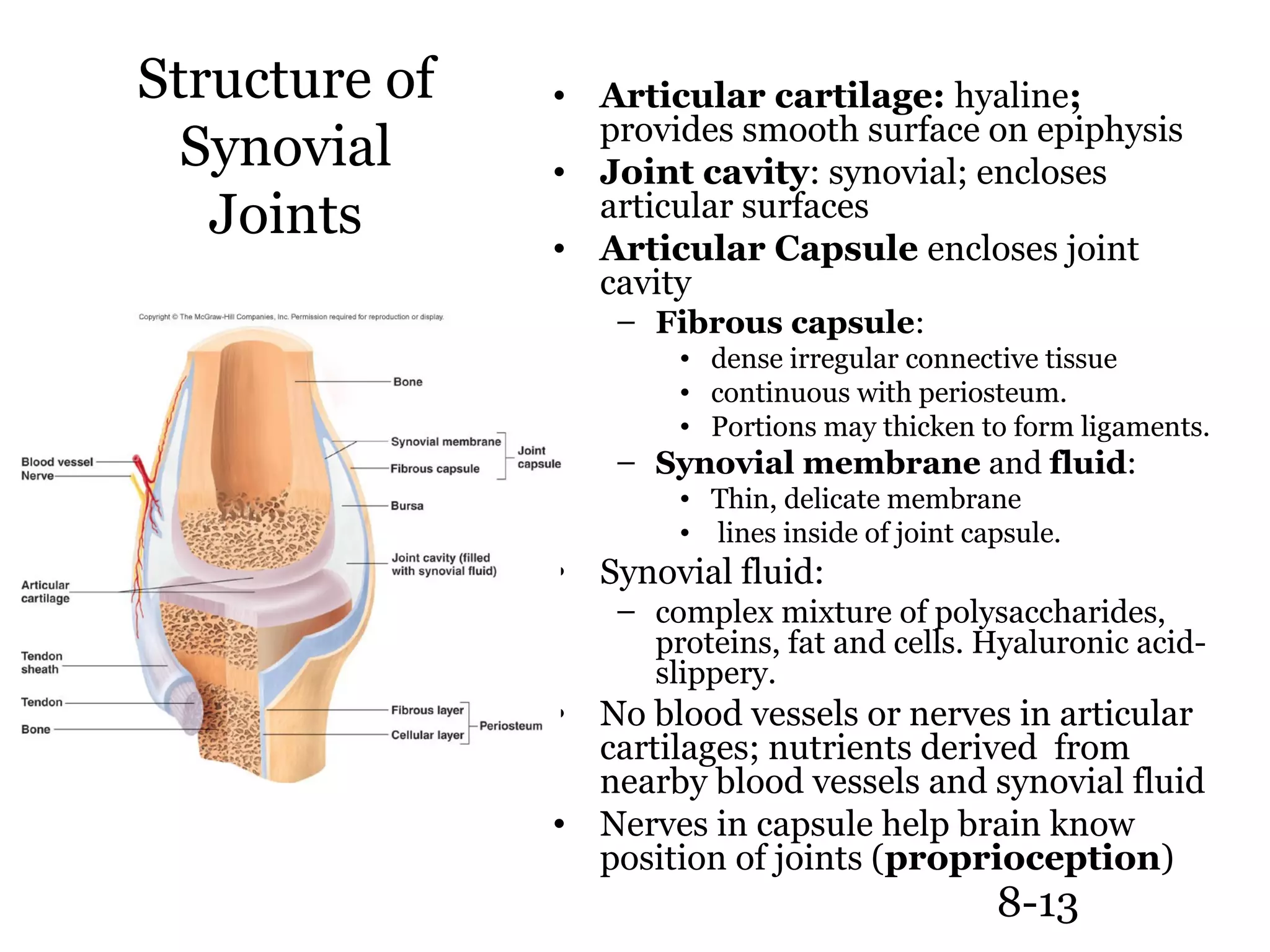 150 ch8 joints | PPT