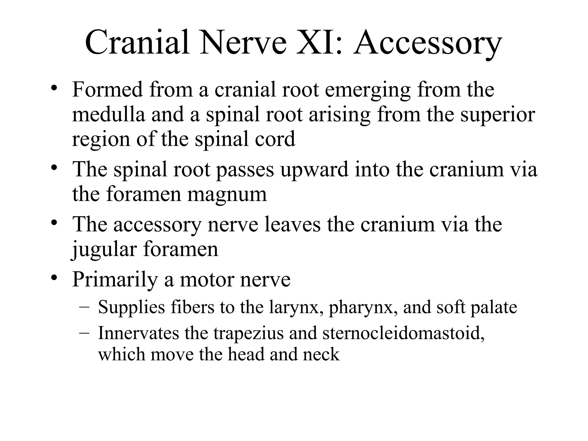 150 cranial nerves Anatomy | PPT