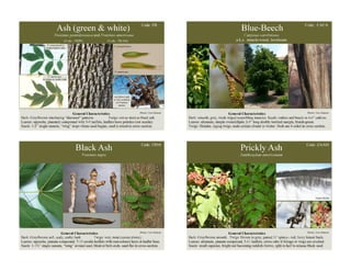 Minnesota Tree Identification Cards 3.5x5 inch | PDF