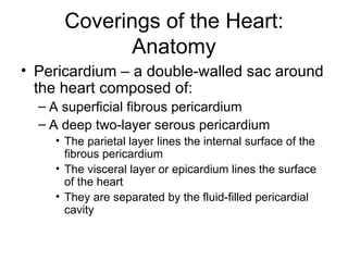 150 Heart | PPT