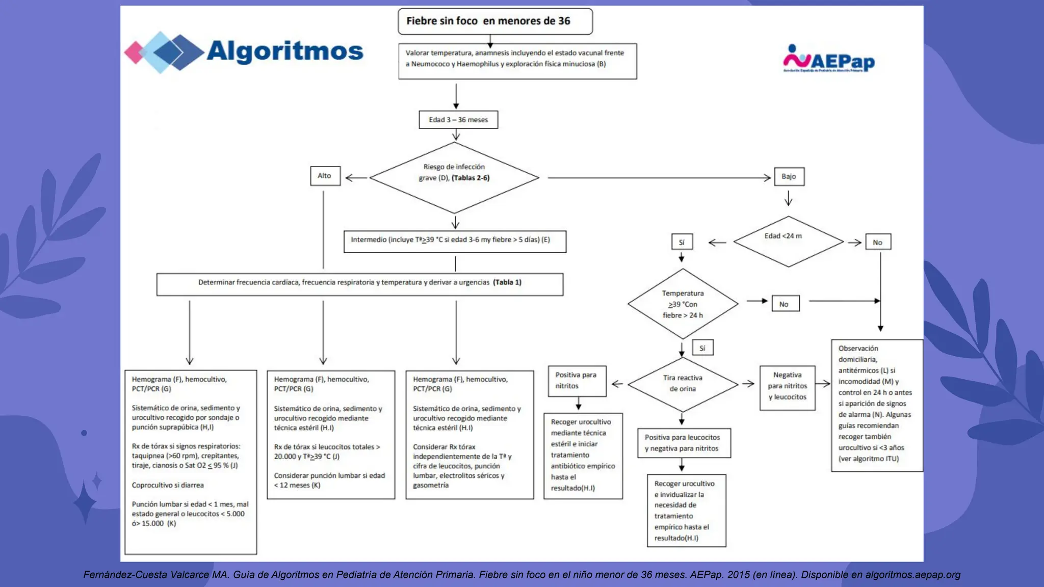 PRESENTACION DE FIEBRE SIN FOCO DE 3 A 36 MESES DE EDAD | PDF ...