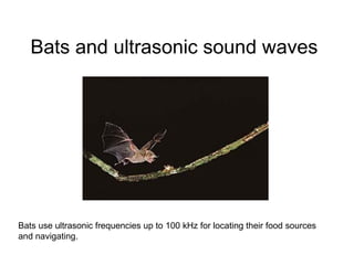 ultrasonics ppt | PPT