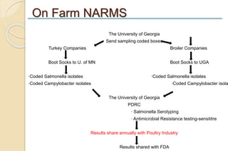 Dr. Chuck Hofacre - Antibiotic Stewardship for Poultry | PPTX