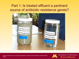 Dr. Tim Lapara - Stewardship and the Environment - Wastewater Treatment ...