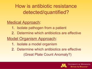 Dr. Tim Lapara - Stewardship and the Environment - Wastewater Treatment and Antibiotics | PPT