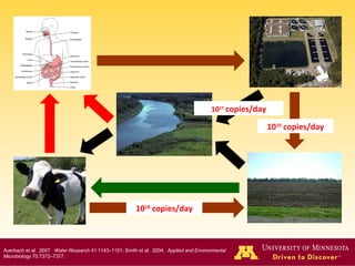 Dr. Tim Lapara - Stewardship and the Environment - Wastewater Treatment and Antibiotics | PPT