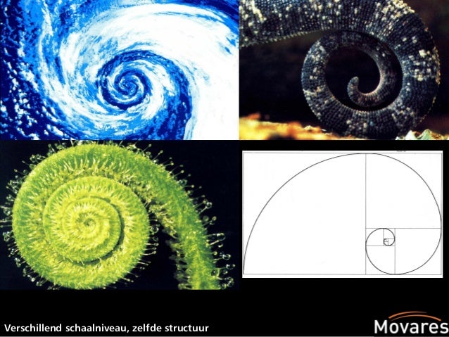 151119 presentatie topologisch optimaliseren betondag peter heideman