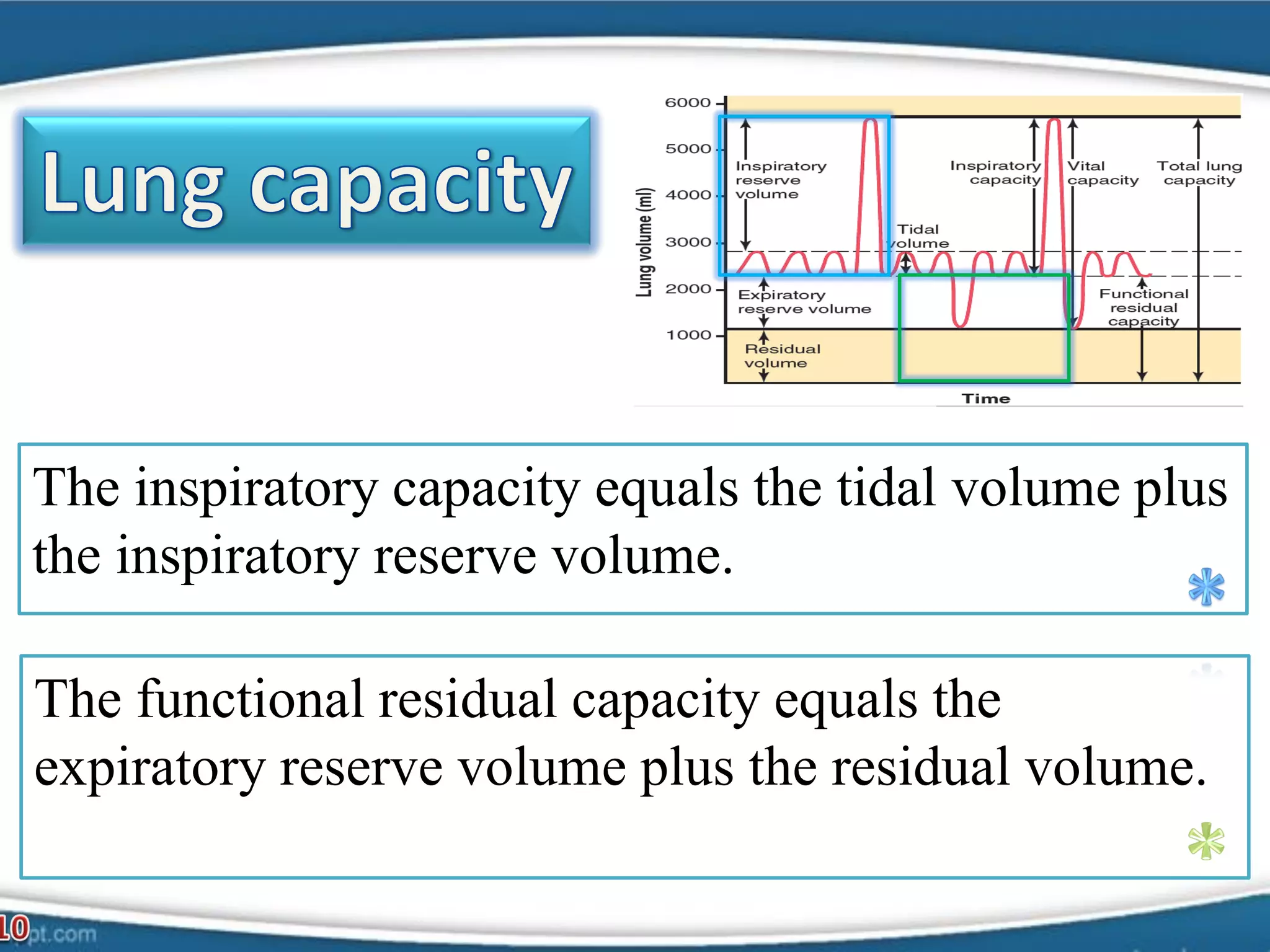 Physiology of lung volumes and capacities | PDF