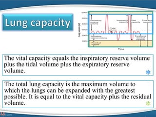Physiology of lung volumes and capacities | PDF
