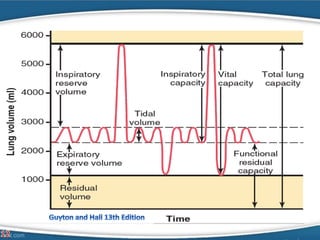 Physiology of lung volumes and capacities | PDF