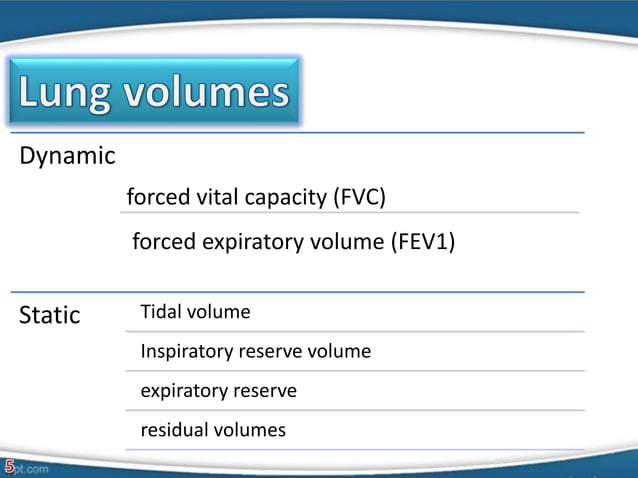 Physiology of lung volumes and capacities | PDF