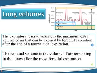 Physiology of lung volumes and capacities | PDF