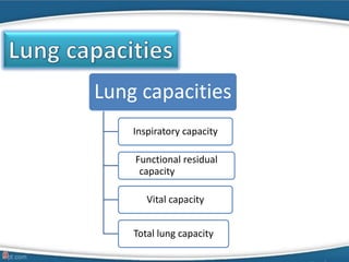 Physiology of lung volumes and capacities | PDF