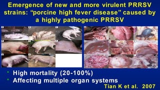Dr. X.J. Meng - Designing PRRSV Vaccines for Heterologous Protection | PPT