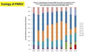 Dr. Mike Murtaugh - PRRS '174' - What are we learning about PRRSV ...