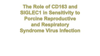 Dr. Randy Prather - Porcine Reproductive and Respiratory Syndrome Virus ...