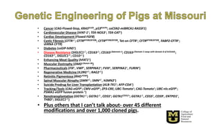 Dr. Randy Prather - Porcine Reproductive and Respiratory Syndrome Virus ...