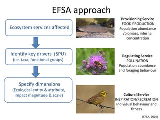 The ecosystem service approach to make protection goals operational | PPT