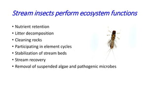 Protection goals, assessment endpoints, ecosystem services and ...