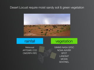 Remote sensing used by FAO DLIS for Desert Locust forecasting | PDF