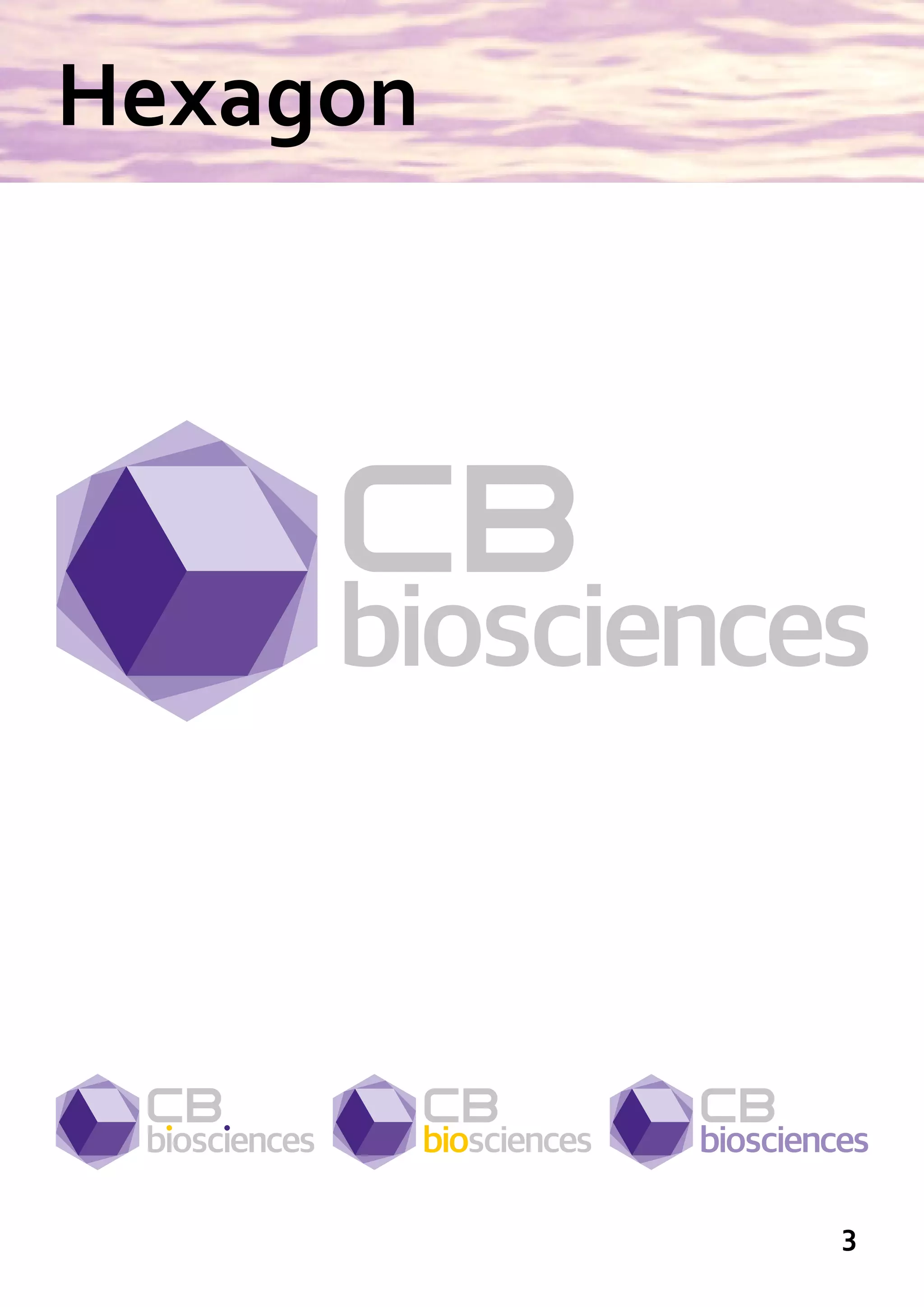 cb bio | PDF