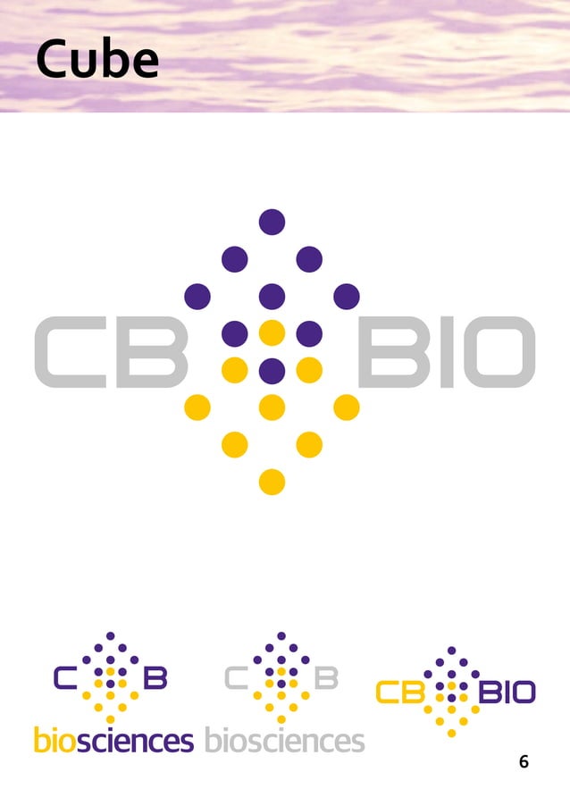 cb bio | PDF