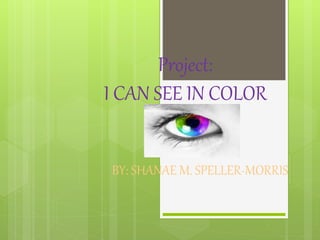 Project I Can See In Color | PPT