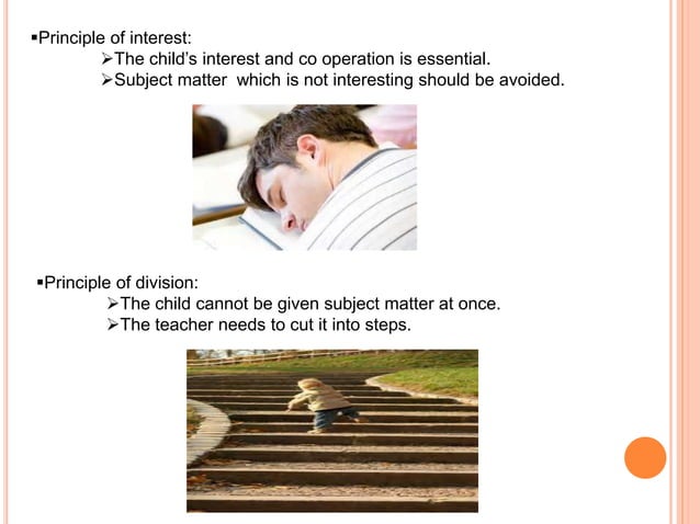 1516principles103 | PPT