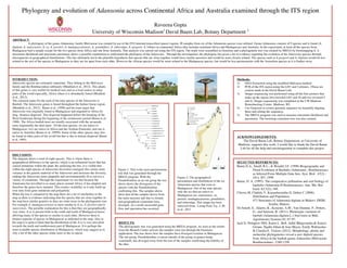 Poster Presentation | PDF