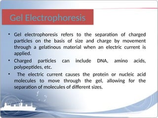 151745381-Electrophoresis .pptx......... | PPTX