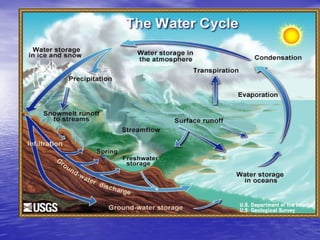 Water cycle presentation for elementary .ppt