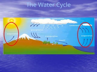 Water cycle presentation for elementary .ppt