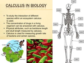 Application of real life in calculus | PPTX