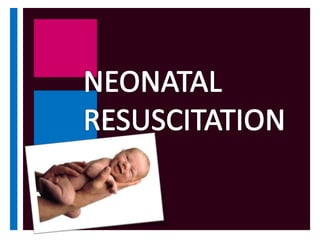 15 2018 Neonatal asphyxia and Resuscitation in newborns.ppt