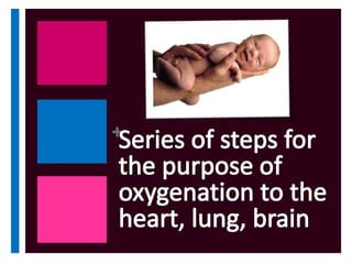 15 2018 Neonatal asphyxia and Resuscitation in newborns.ppt