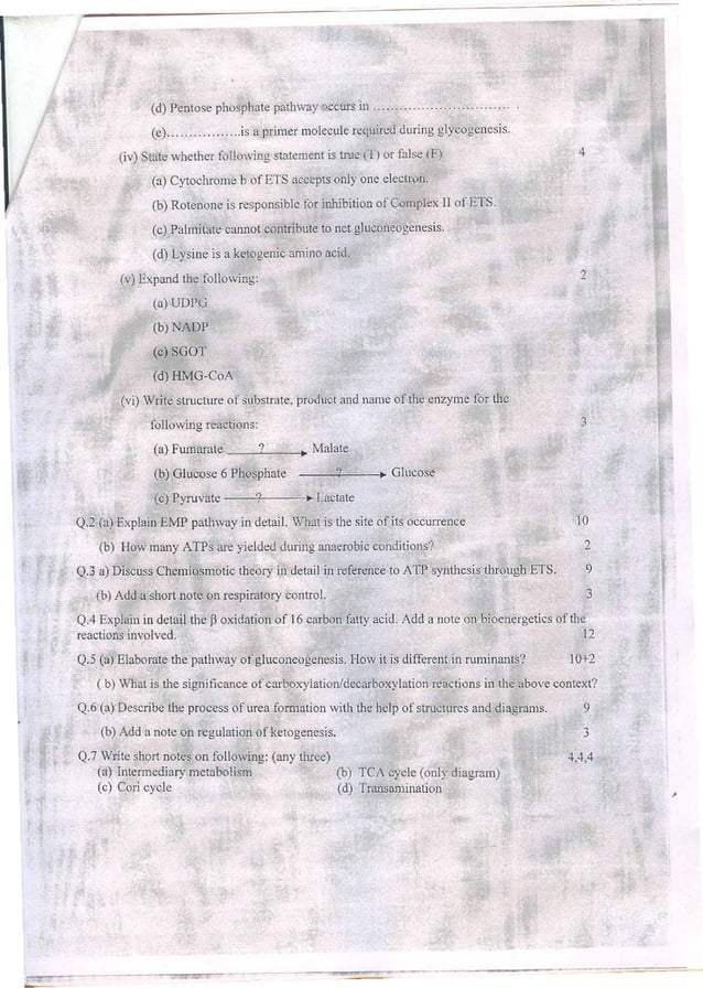 1526438712_Biochemistry_of_metabolic_Processes_Sem_IV0002.pdf 1526438712_Biochemistry_of_metabolic_Processes_Sem_IV0002.pdf