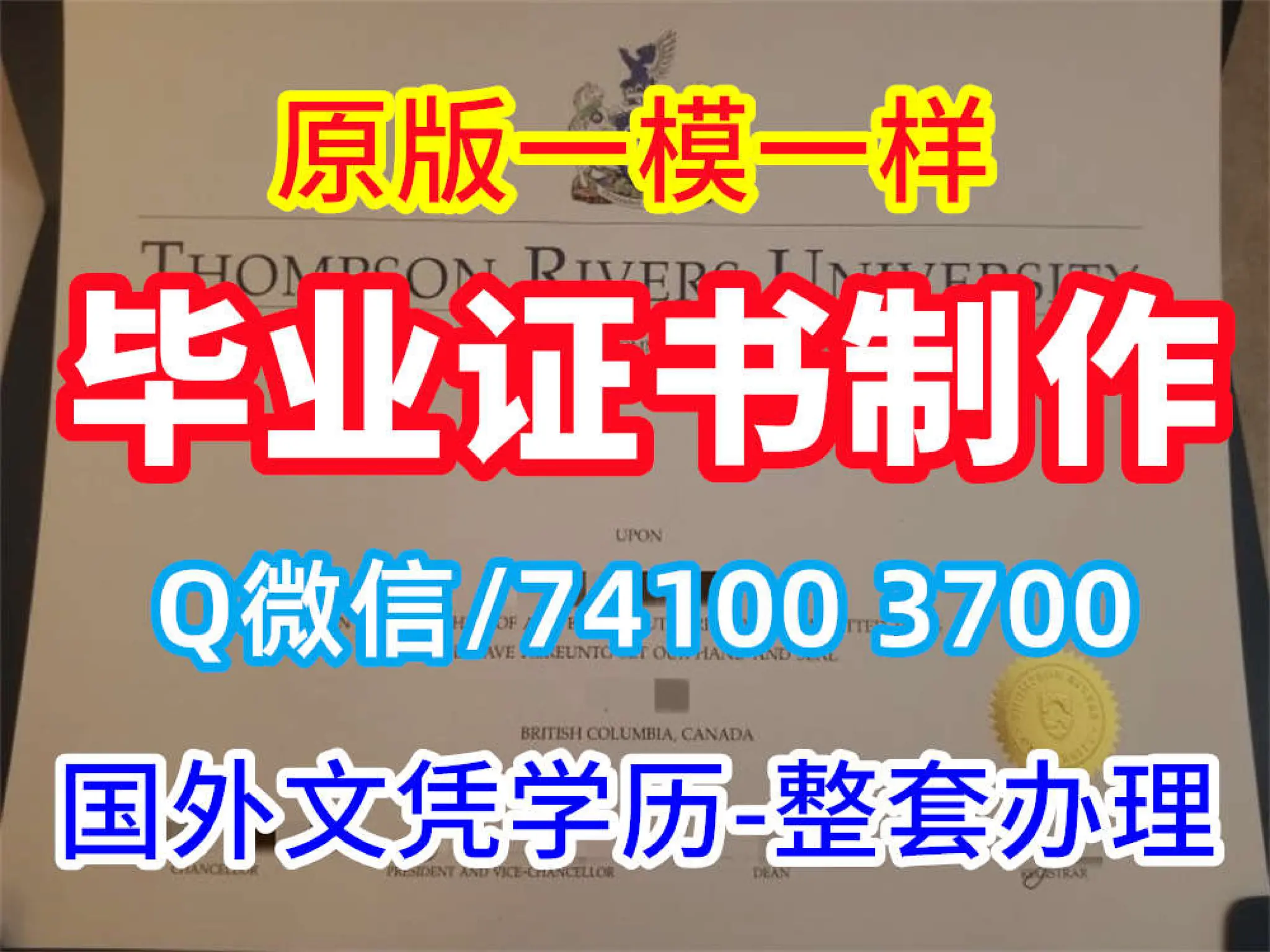 UoN Bachelor Degree | PDF