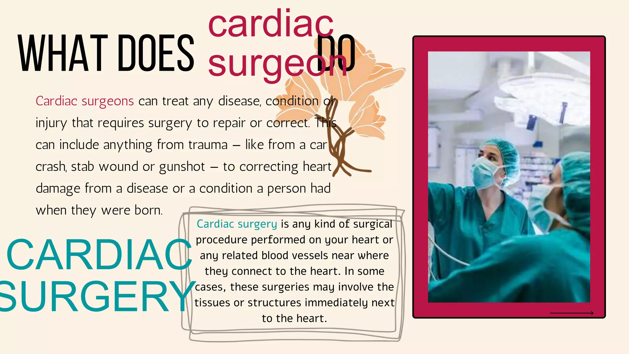 15 (3)- Girls Cardiac Surgeon.pptx