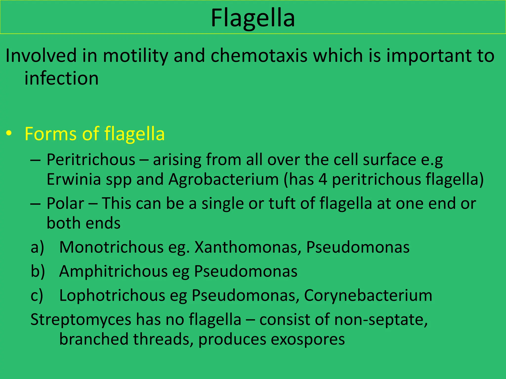 plant pathogeni bacteria and 15302738.ppt