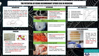 The potential of using recombinant spider silk in medicine | PPTX